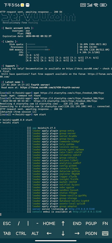 无法公网访问koishi - 互助 - Koishi Forum